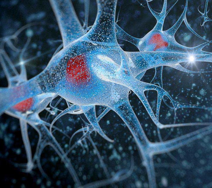 Psychology BSc (Hons) | University of Worcester Psychology BSc (Hons) | University of Worcester