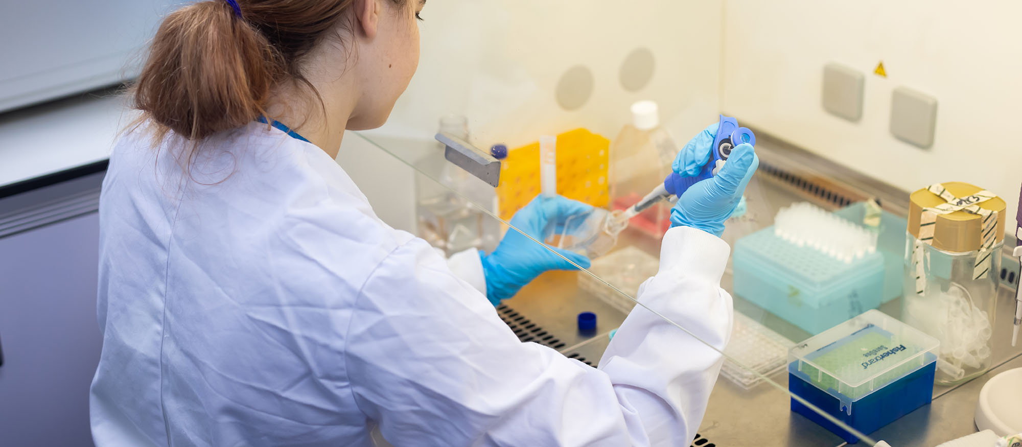 Study Medical Sciences - University Of Worcester